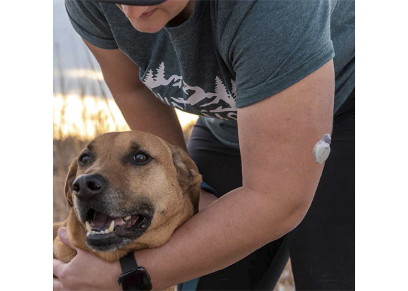 Guardian Smart Sensor – My Diabetes Care